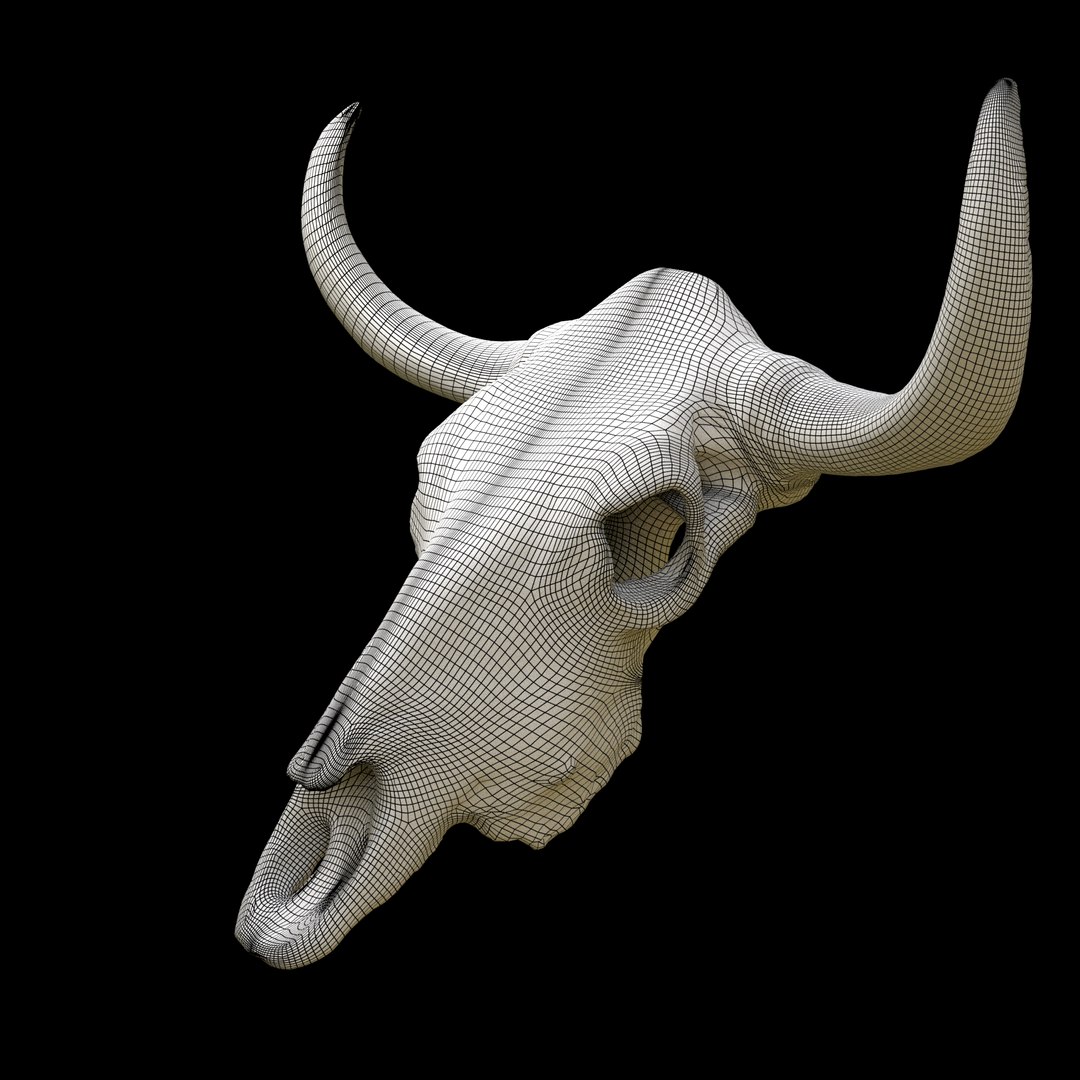 3D Bull Skull - TurboSquid 2279242