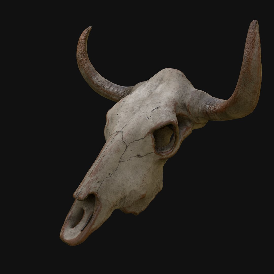 3D Bull Skull - TurboSquid 2279242