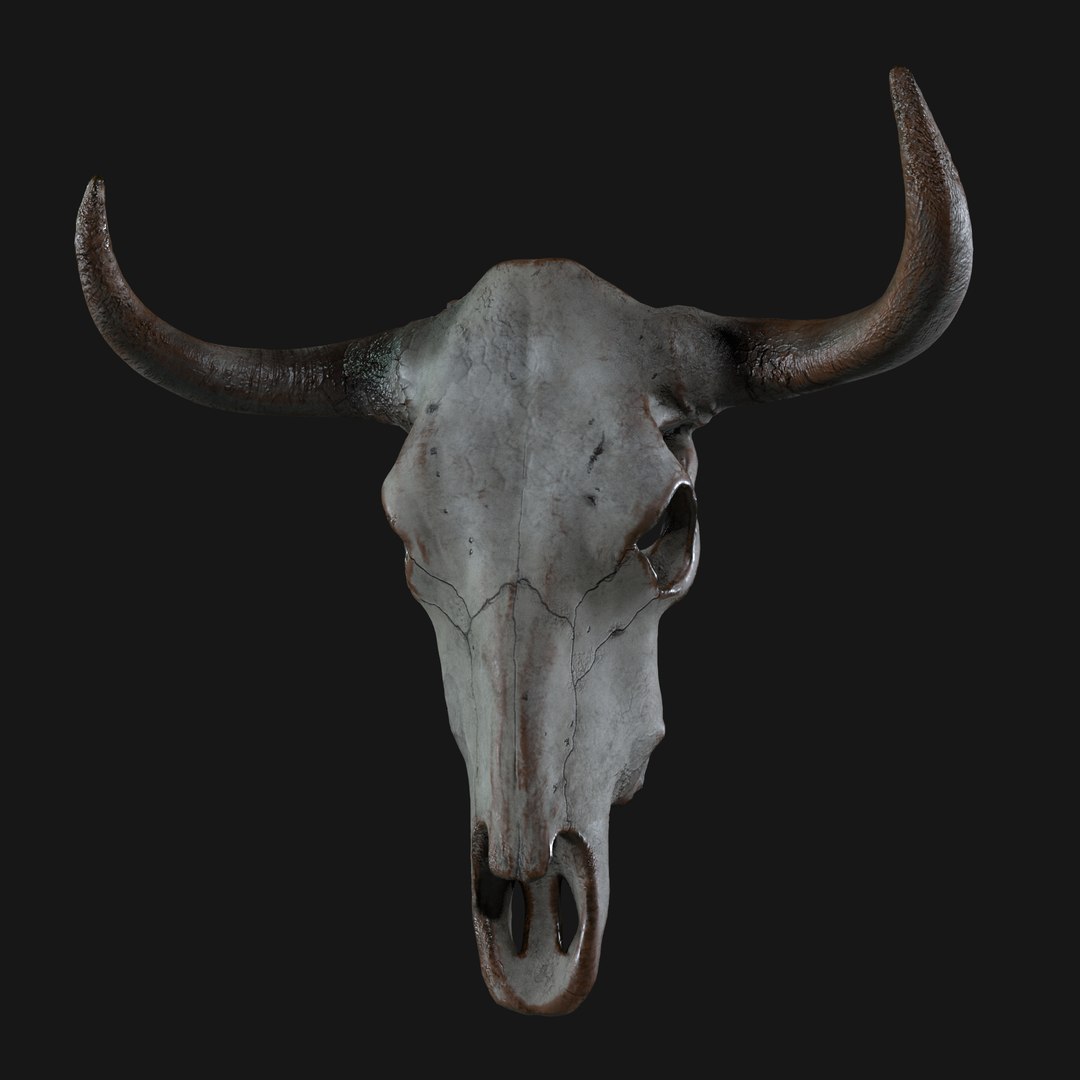 3D Bull Skull - TurboSquid 2279242