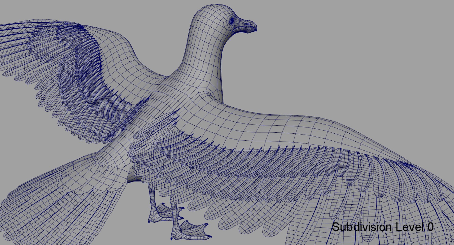 3D seagull feathers modelled model - TurboSquid 1287402