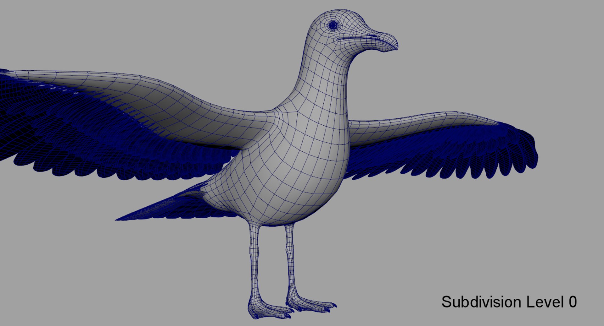 3D seagull feathers modelled model - TurboSquid 1287402
