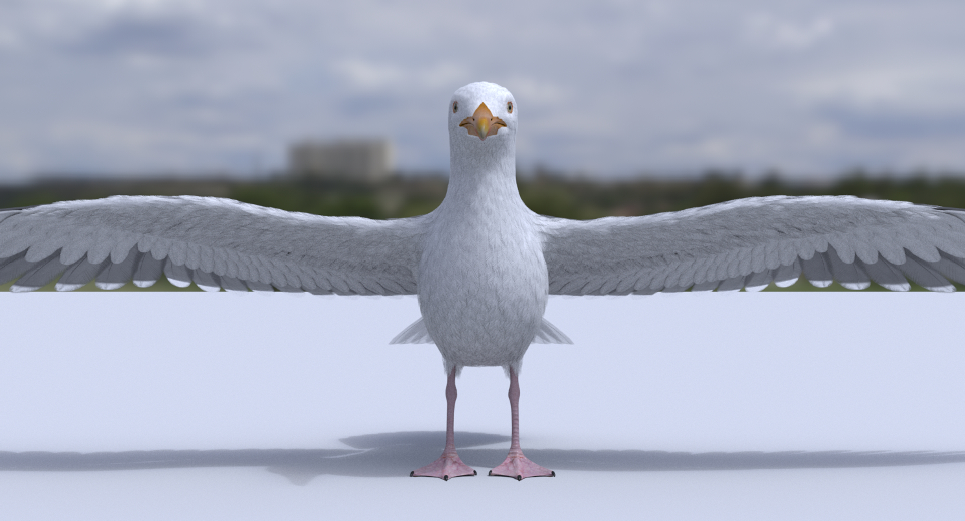3D Seagull Feathers Modelled Model - TurboSquid 1287402
