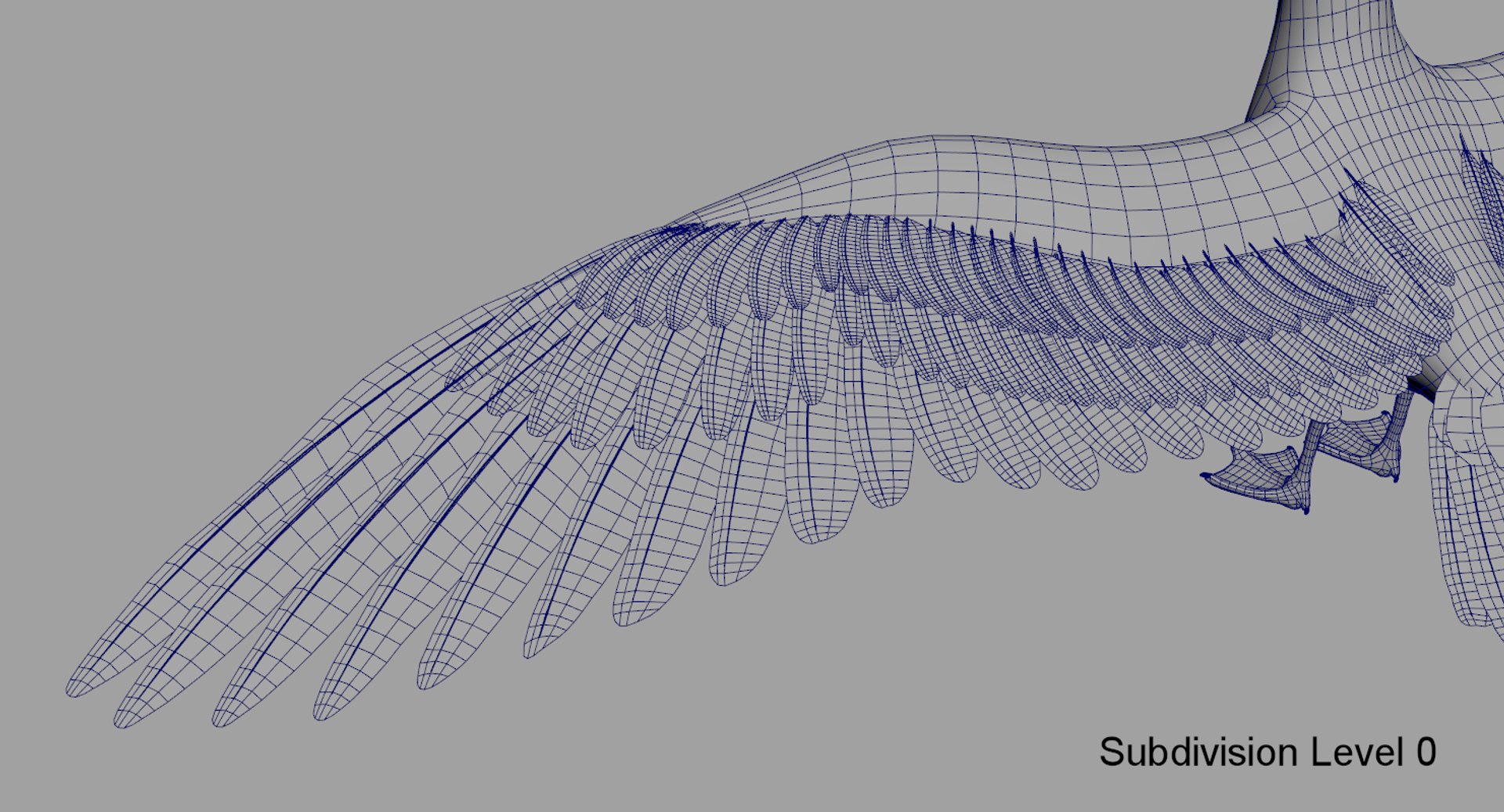 3D seagull feathers modelled model - TurboSquid 1287402