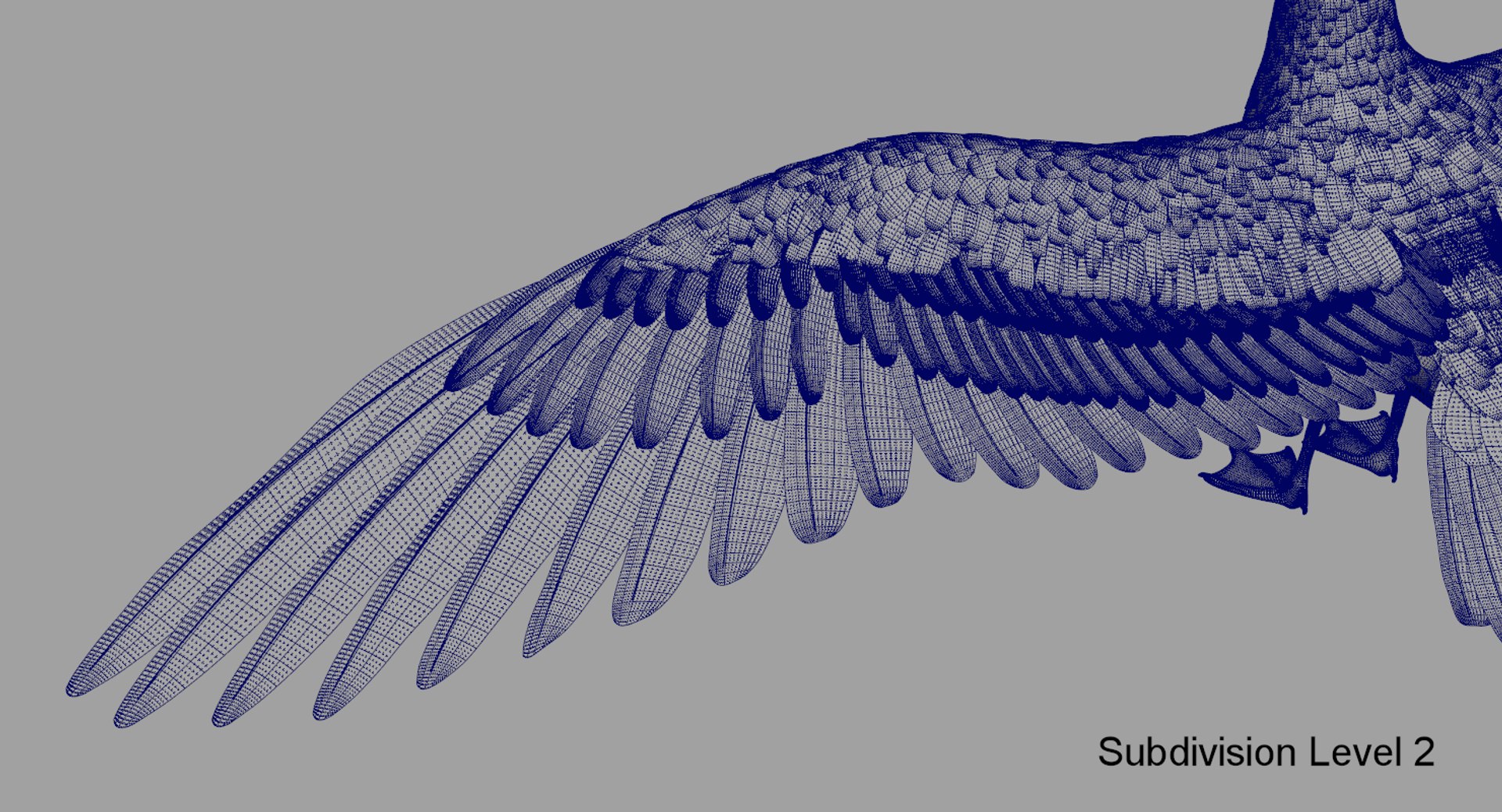 3D seagull feathers modelled model - TurboSquid 1287402