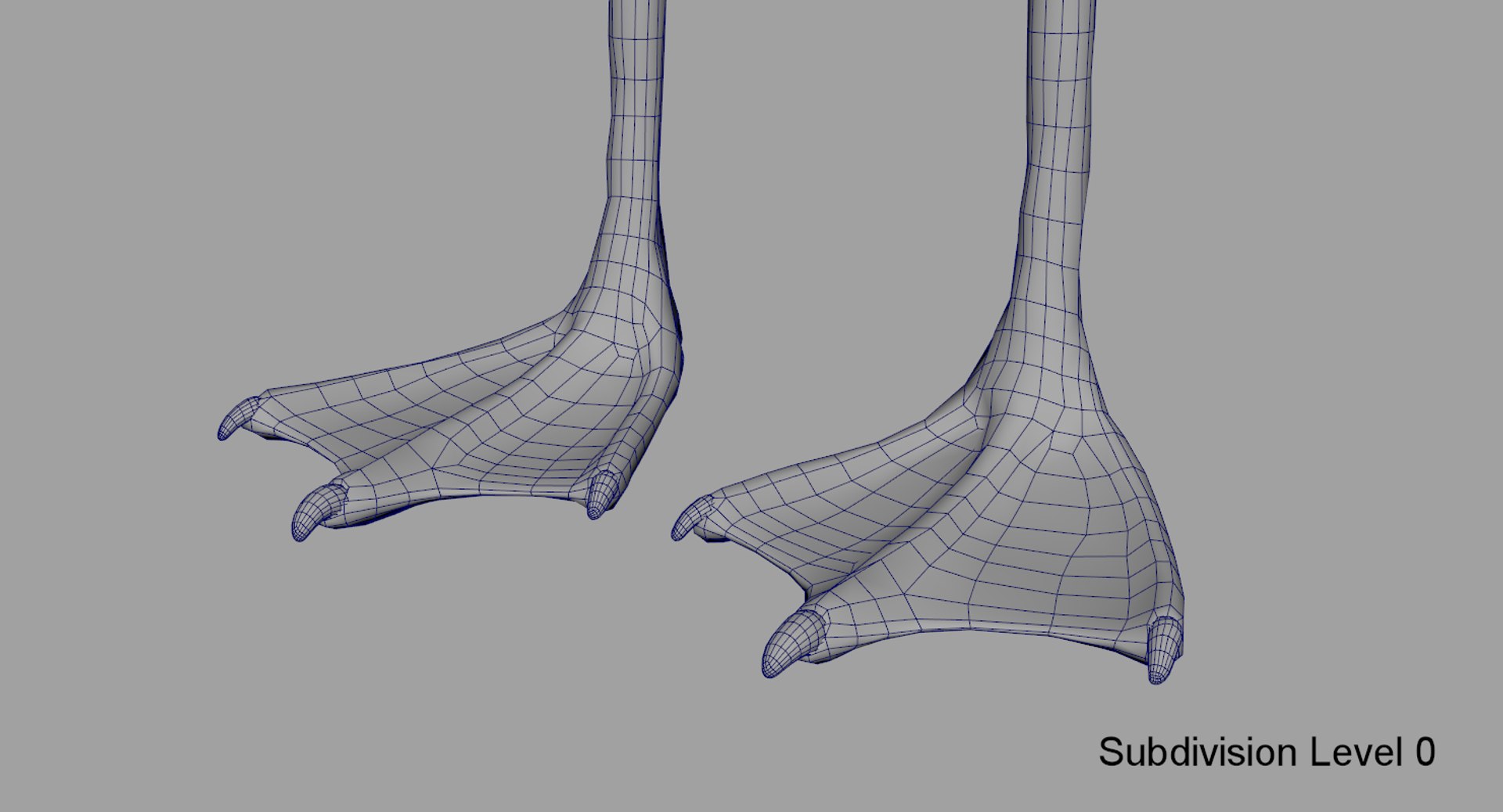 3D seagull feathers modelled model - TurboSquid 1287402