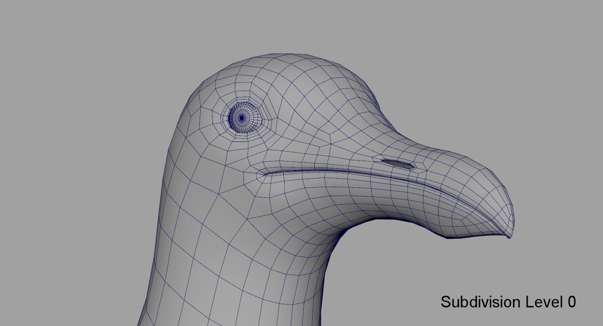 3D seagull feathers modelled model - TurboSquid 1287402