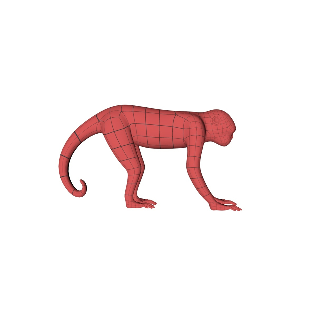 3d Model Base Mesh Monkey