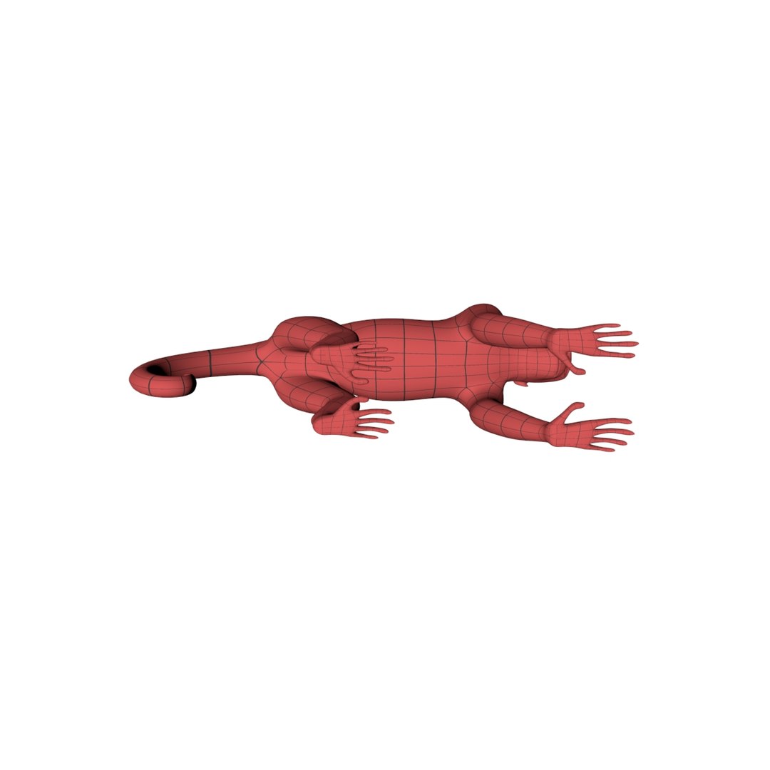 3d Model Base Mesh Monkey