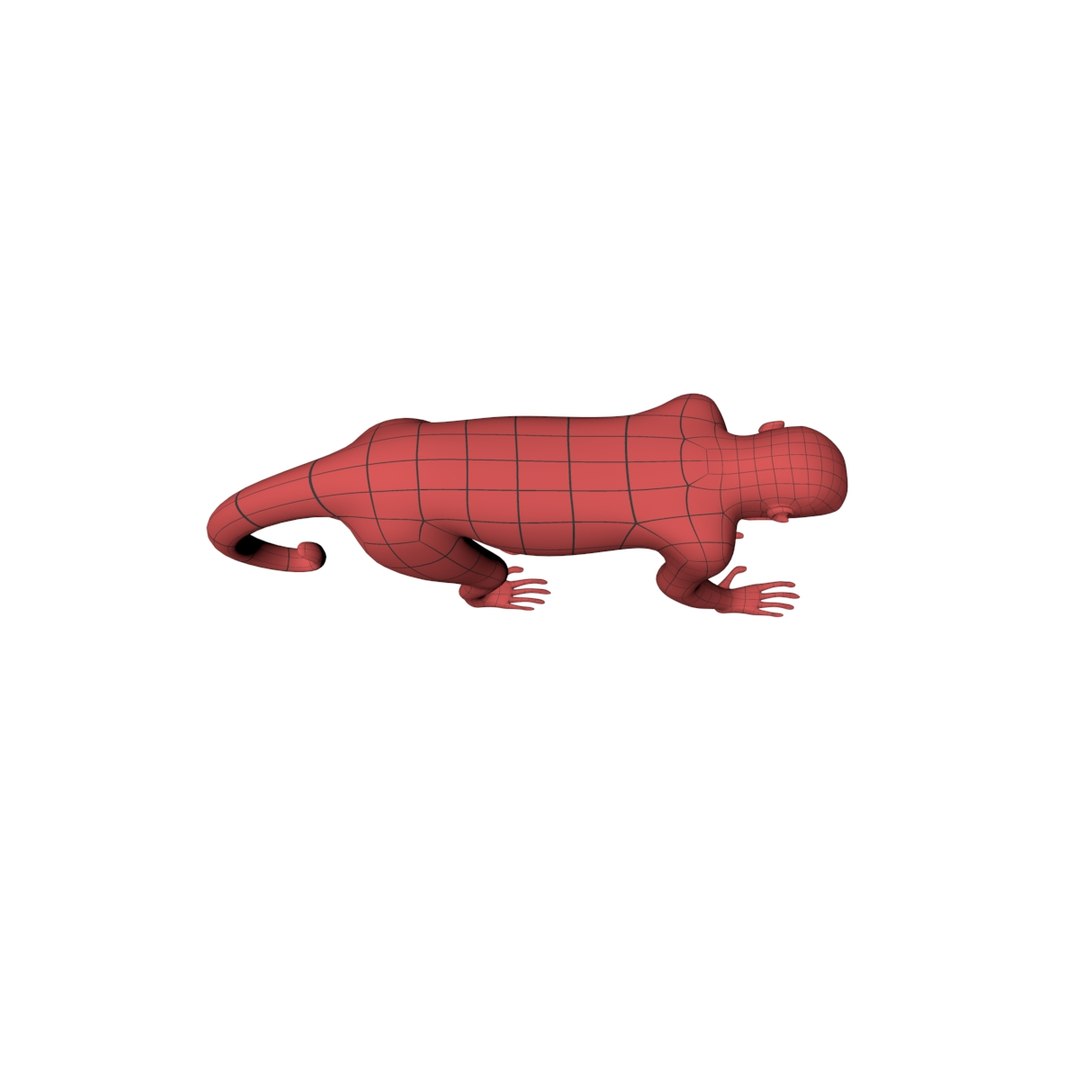 3d Model Base Mesh Monkey