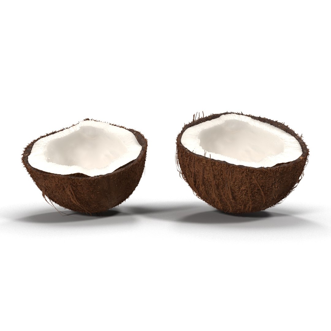 Sliced Coconut 3d Model