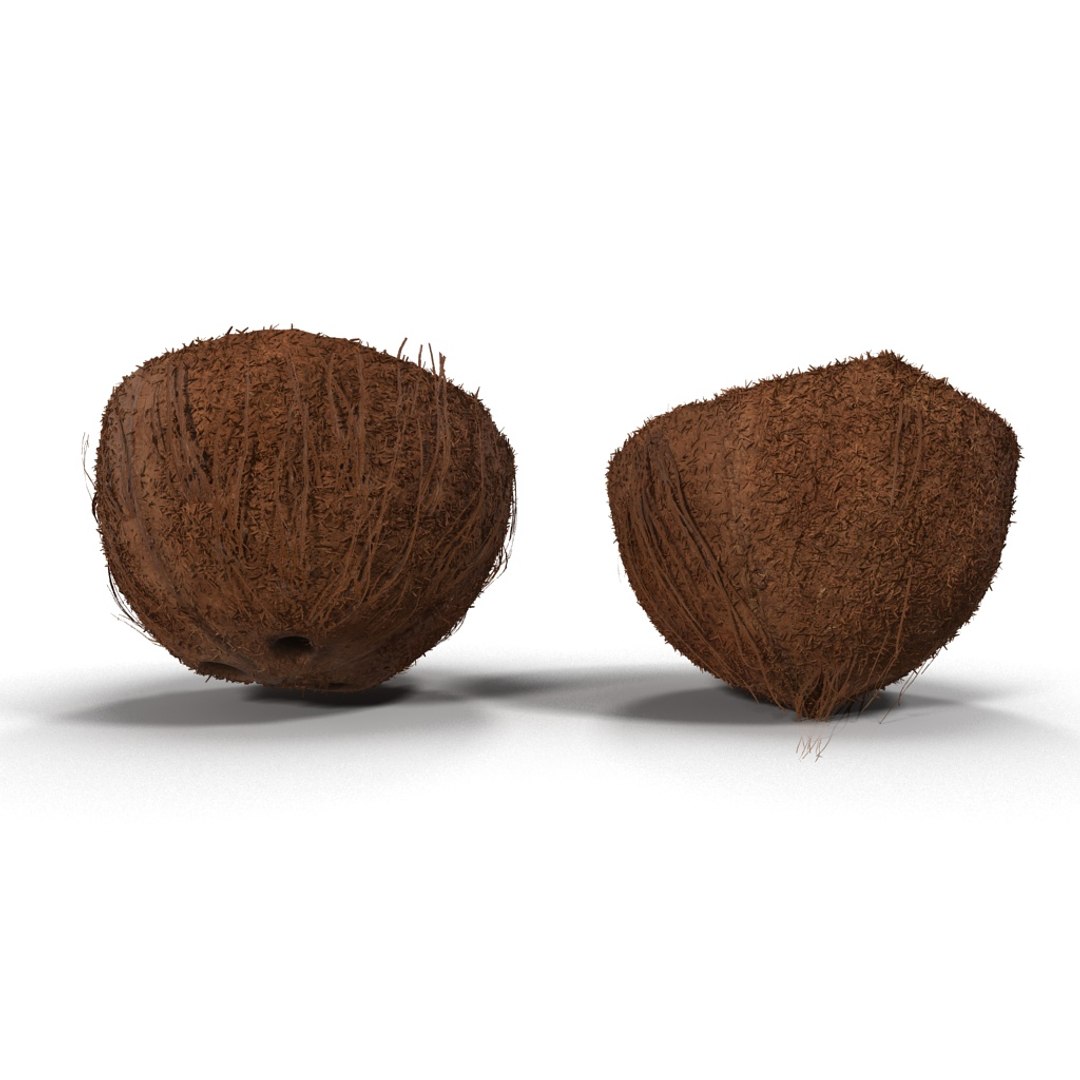 Sliced Coconut 3d Model