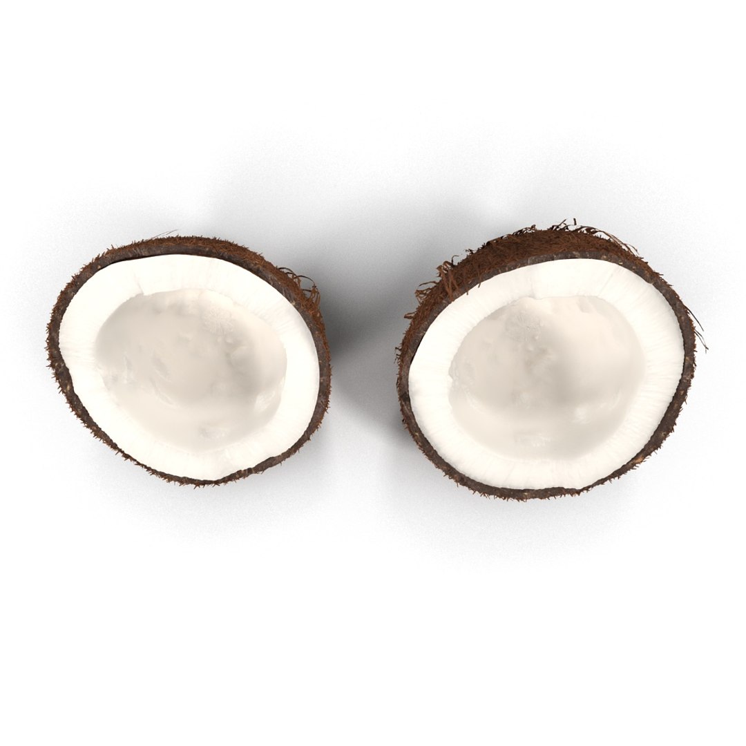 Sliced Coconut 3d Model