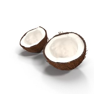 Coconut 3D Models for Download | TurboSquid