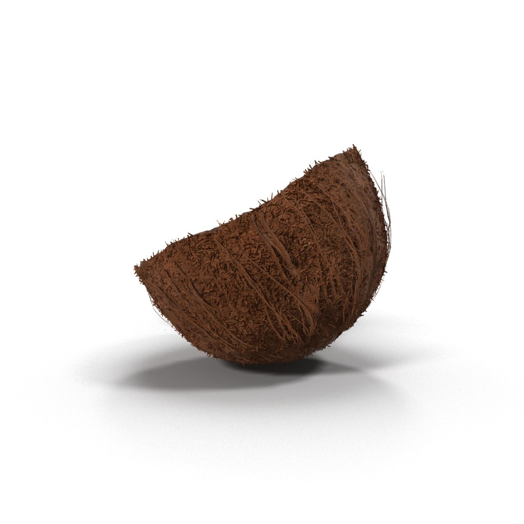 Sliced Coconut 3d Model