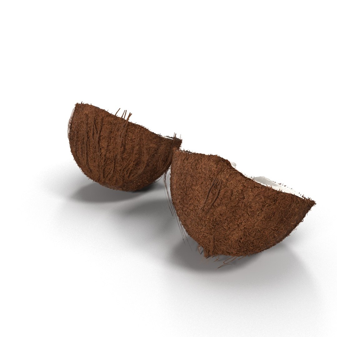 Sliced Coconut 3d Model