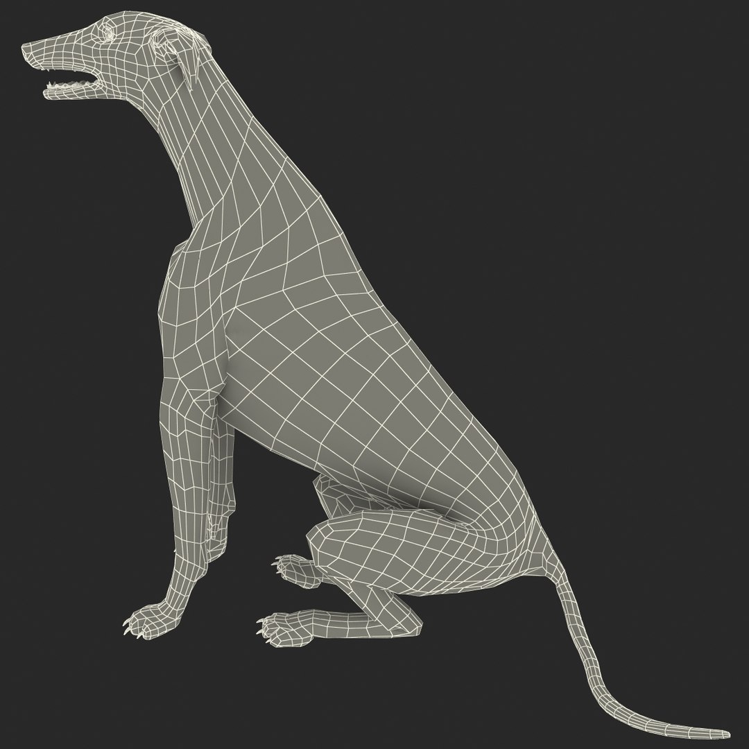 Australian Greyhound Pose 4 3ds