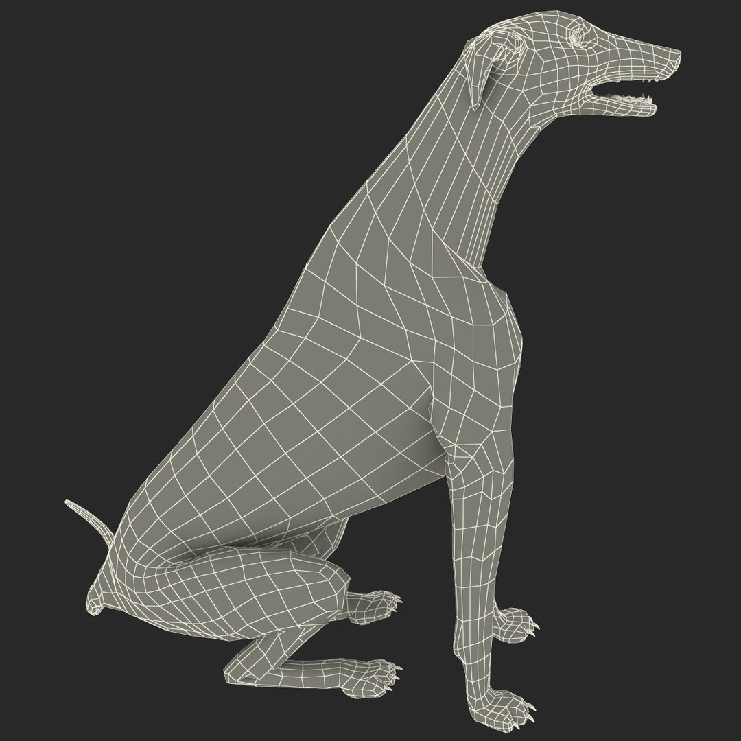 Australian Greyhound Pose 4 3ds