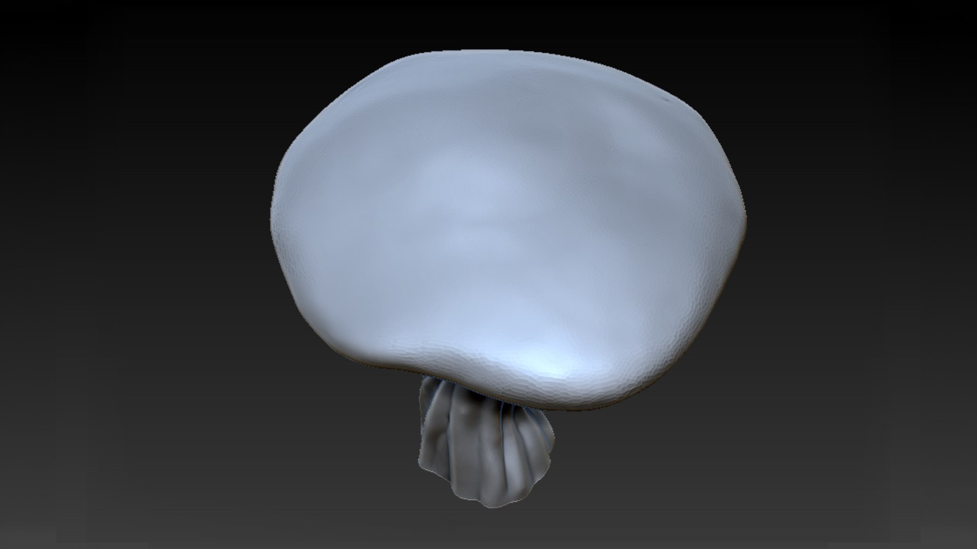 3D Flat Head Mushroom Model - TurboSquid 2212787