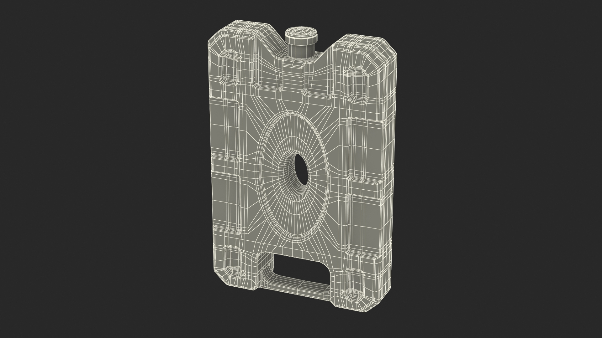 Hard Sided Rectangular Ice Pack 3D Model - TurboSquid 1822179