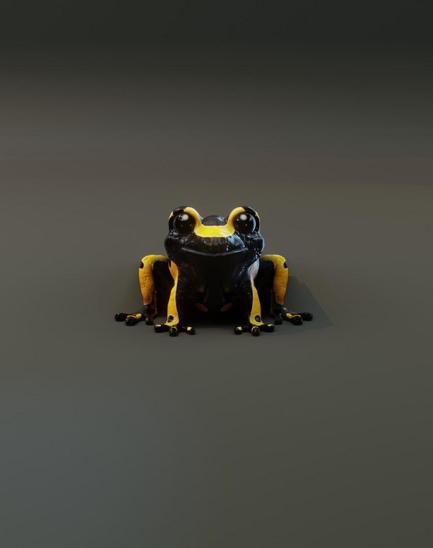 3D Cartoon Yellow-banded Frog Animated 3D Model - TurboSquid 1774323