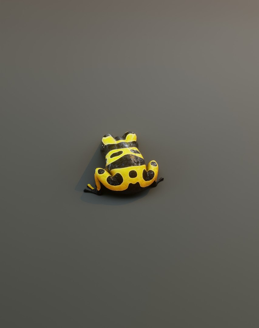 3D Cartoon Yellow-banded Frog Animated 3D Model - TurboSquid 1774323