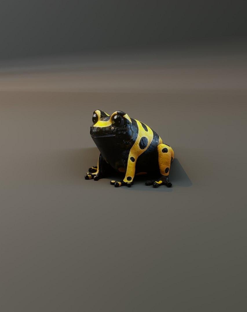 3D Cartoon Yellow-banded Frog Animated 3D Model - TurboSquid 1774323