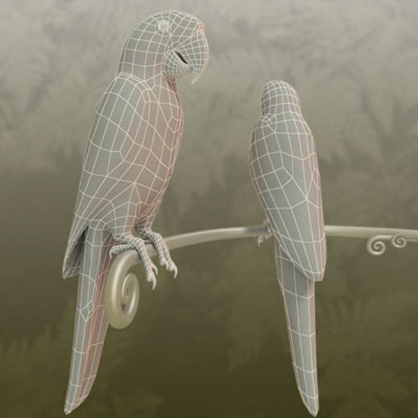 3d model red macaw parrot birds