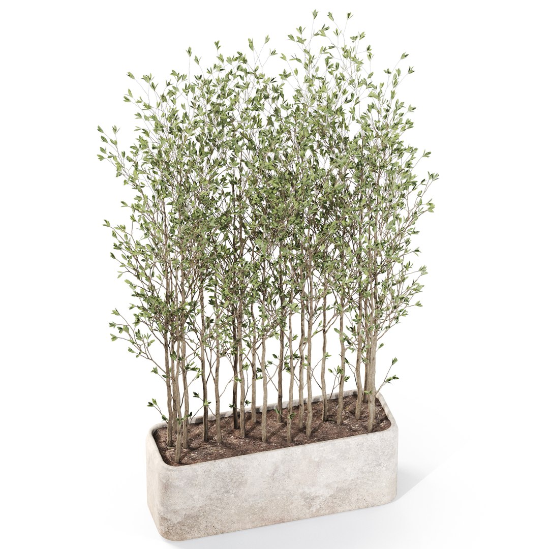 Plants Collection 1107 3D Model - TurboSquid 2248941