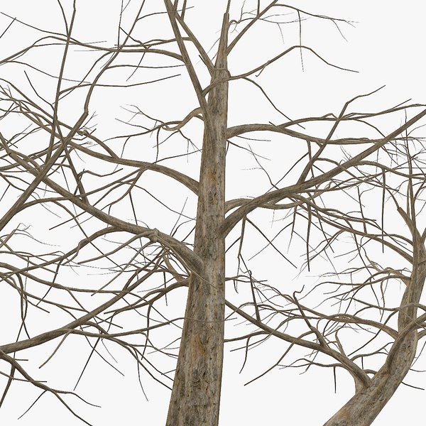 3d tree 4 branches model