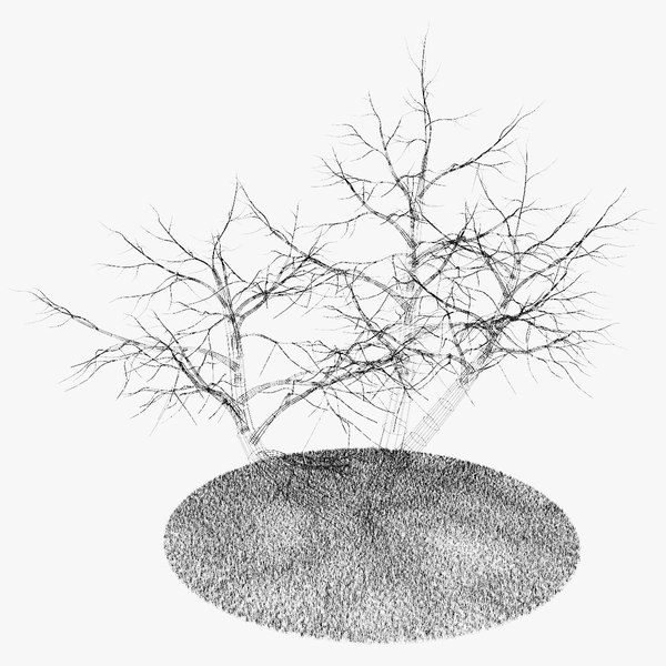 3d tree 4 branches model
