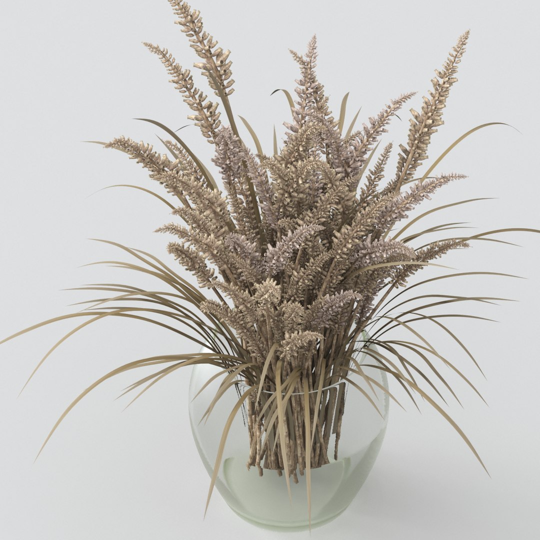 Dried Flower Bouquet 3D Model - TurboSquid 1492285