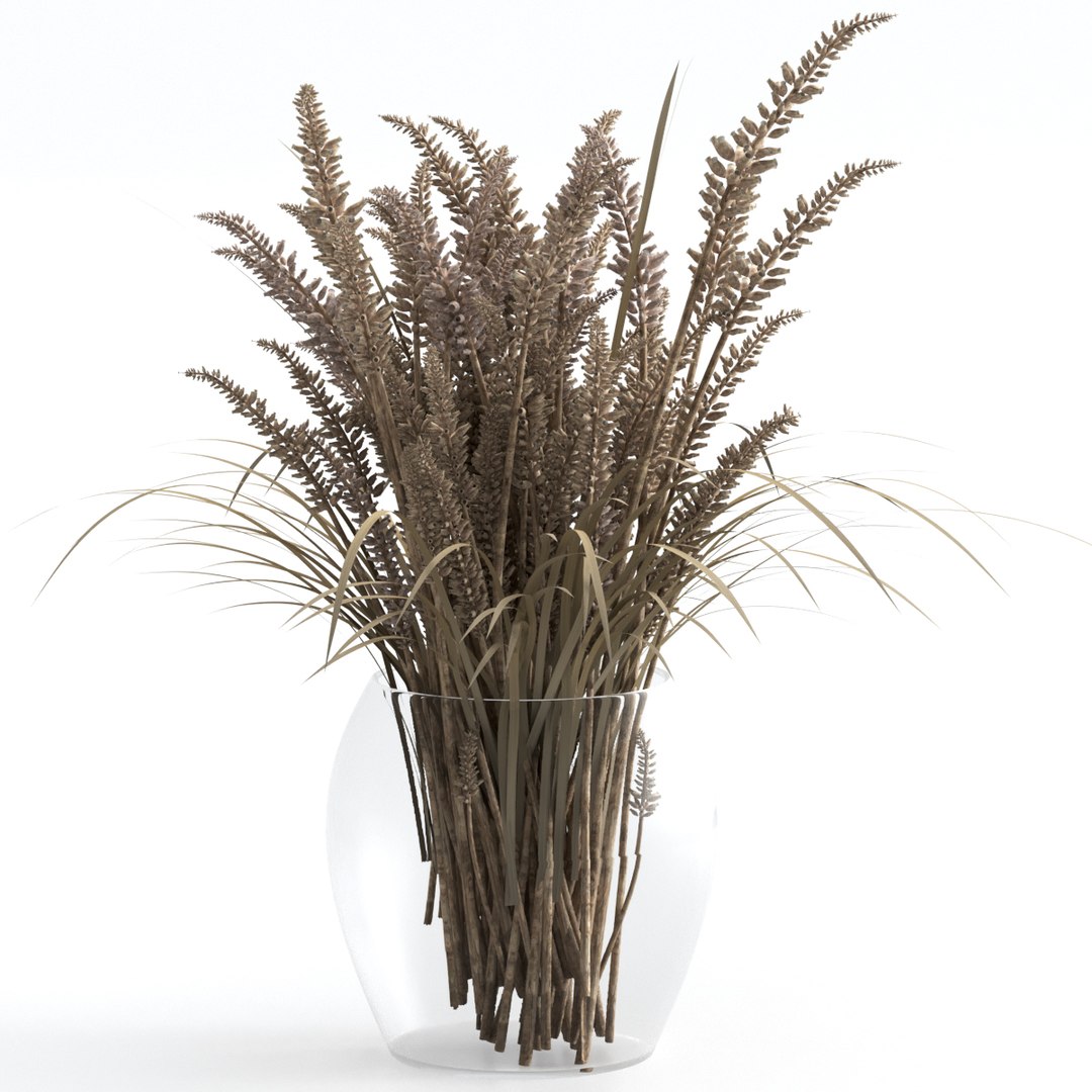 Dried Flower Bouquet 3D Model - TurboSquid 1492285