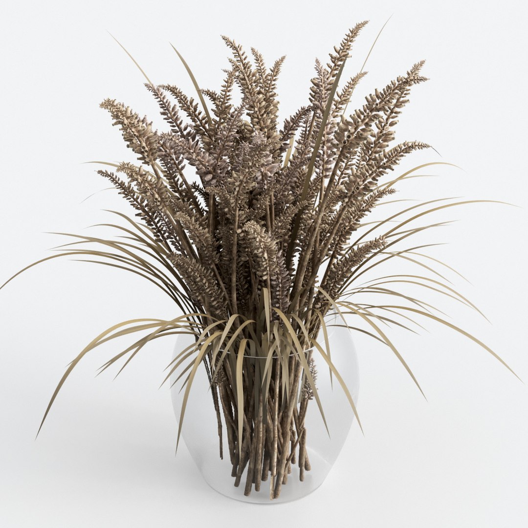 Dried Flower Bouquet 3D Model - TurboSquid 1492285