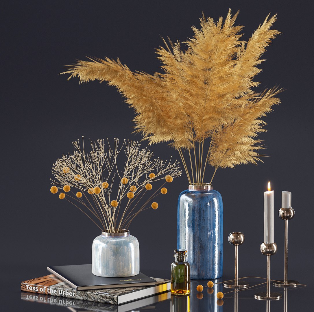 3D Dry Plant Decor Set Model - TurboSquid 1461184