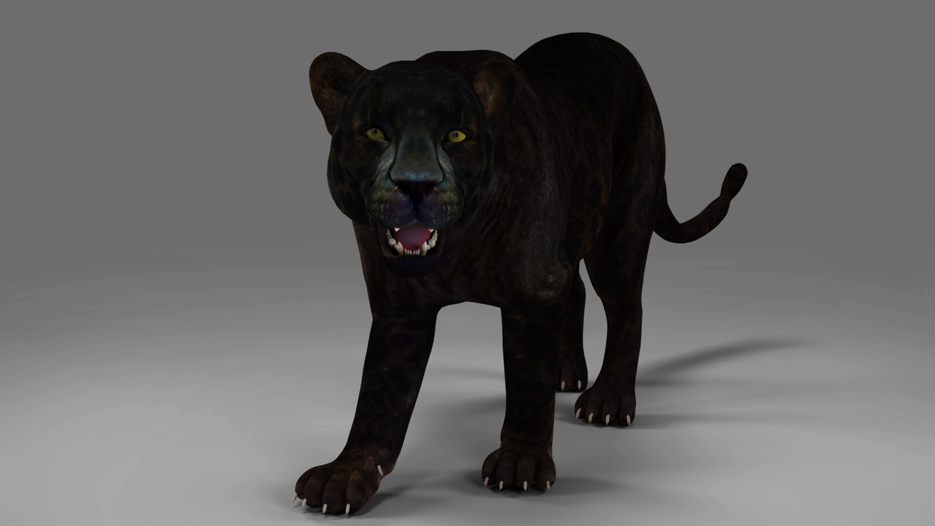 3D Model Black Panther Rigged And Animation V02 In Blender Unity ...
