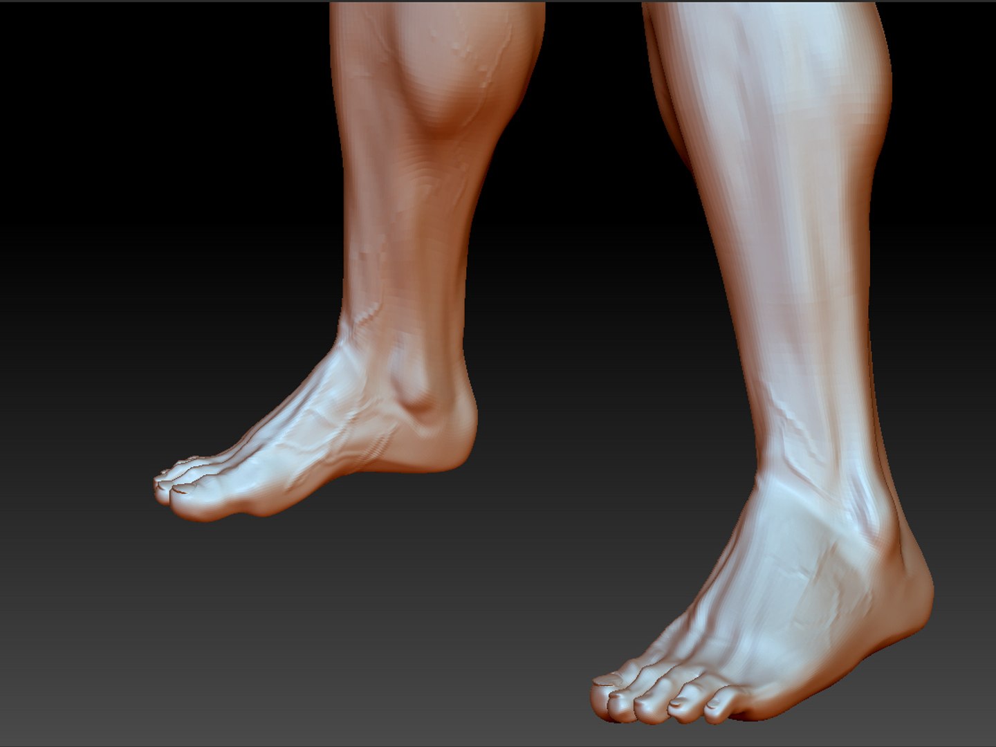 3d model of body fighters