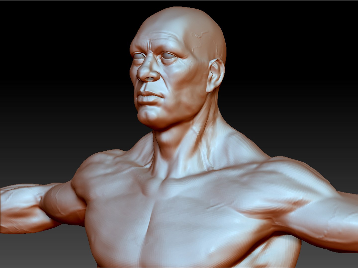 3d model of body fighters