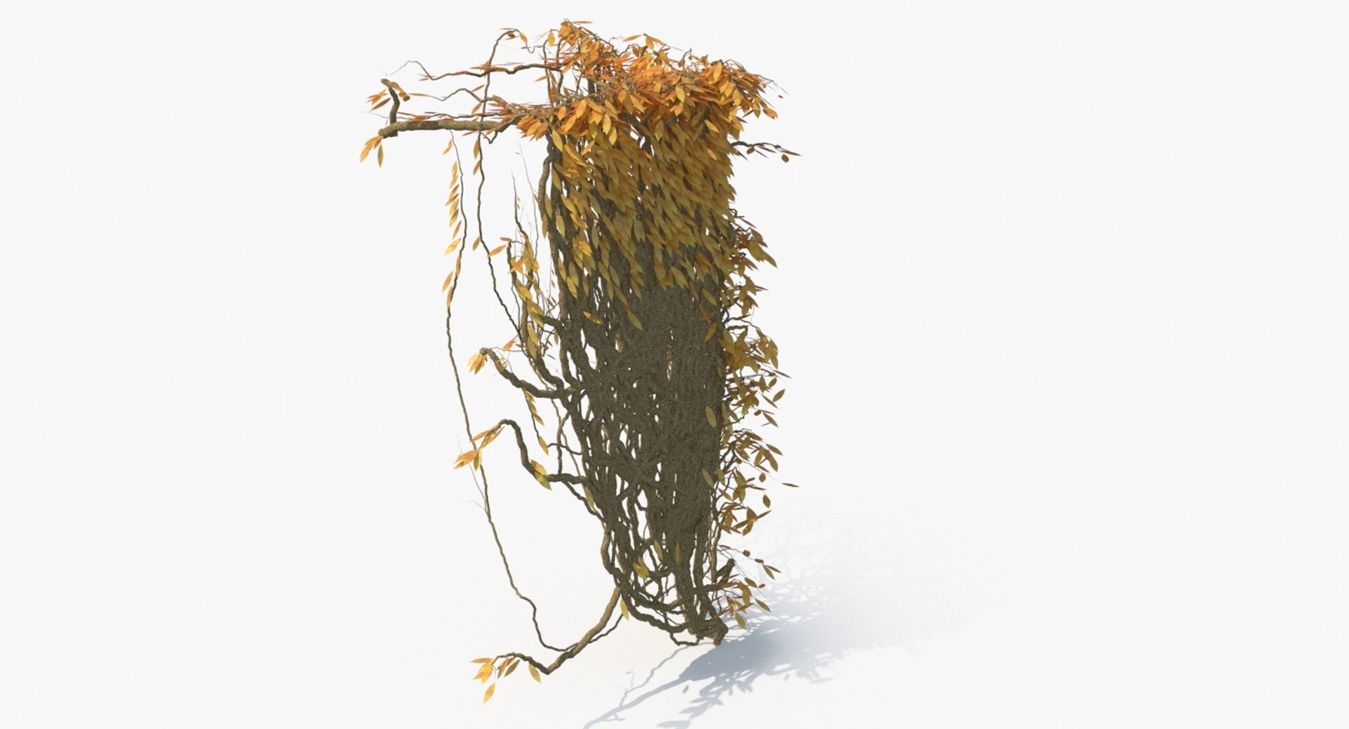 3D Model Ivy Pbr Branches - TurboSquid 1354897