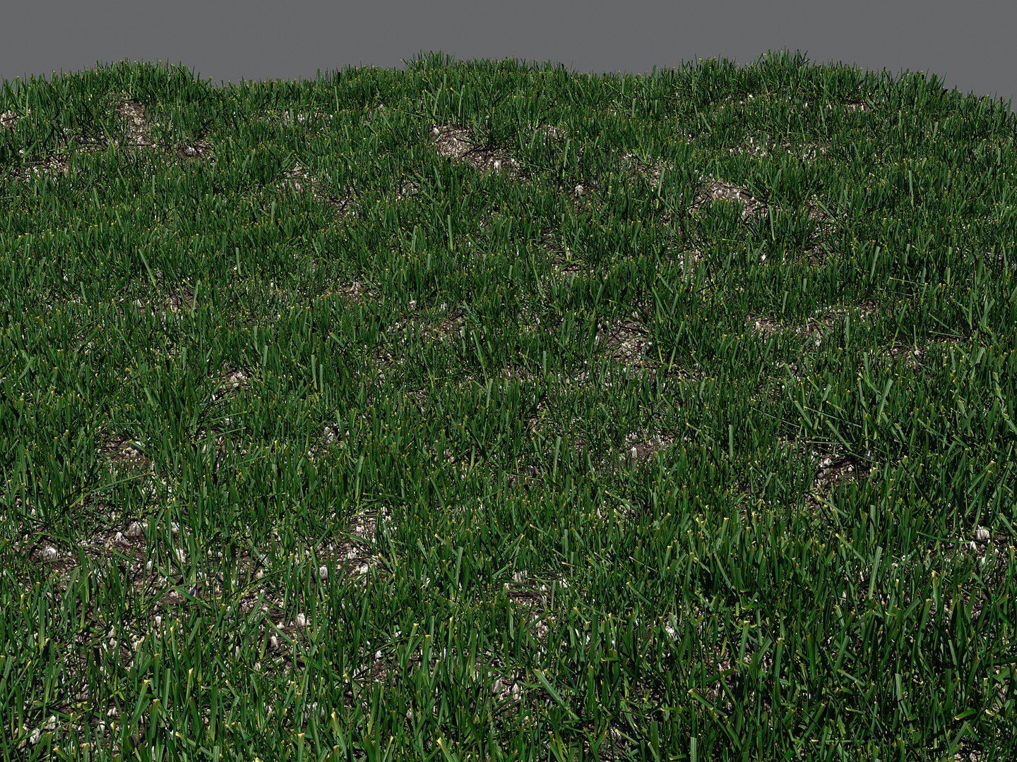 Photorealistic Grass 3d Model