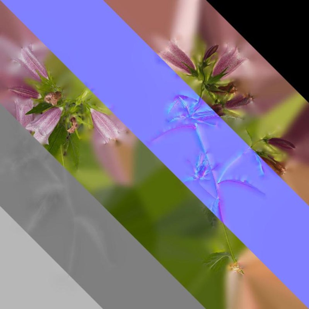 Anydrafts Campanula Punctata Atlas 04 Textures 3D - TurboSquid 2353009