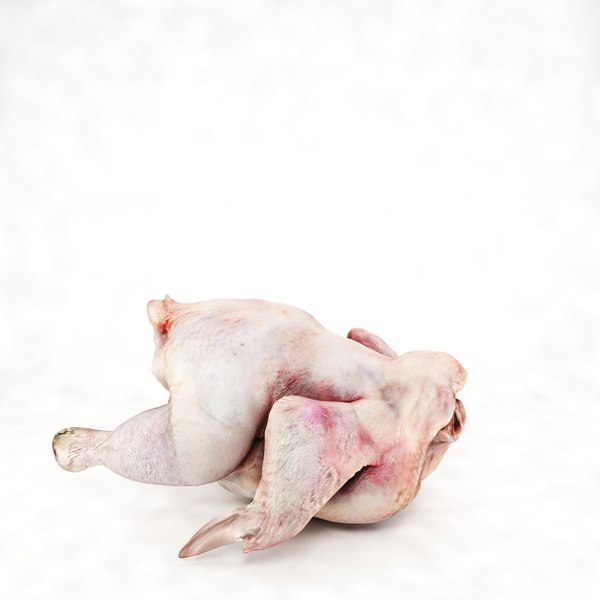 raw chicken 3d lwo
