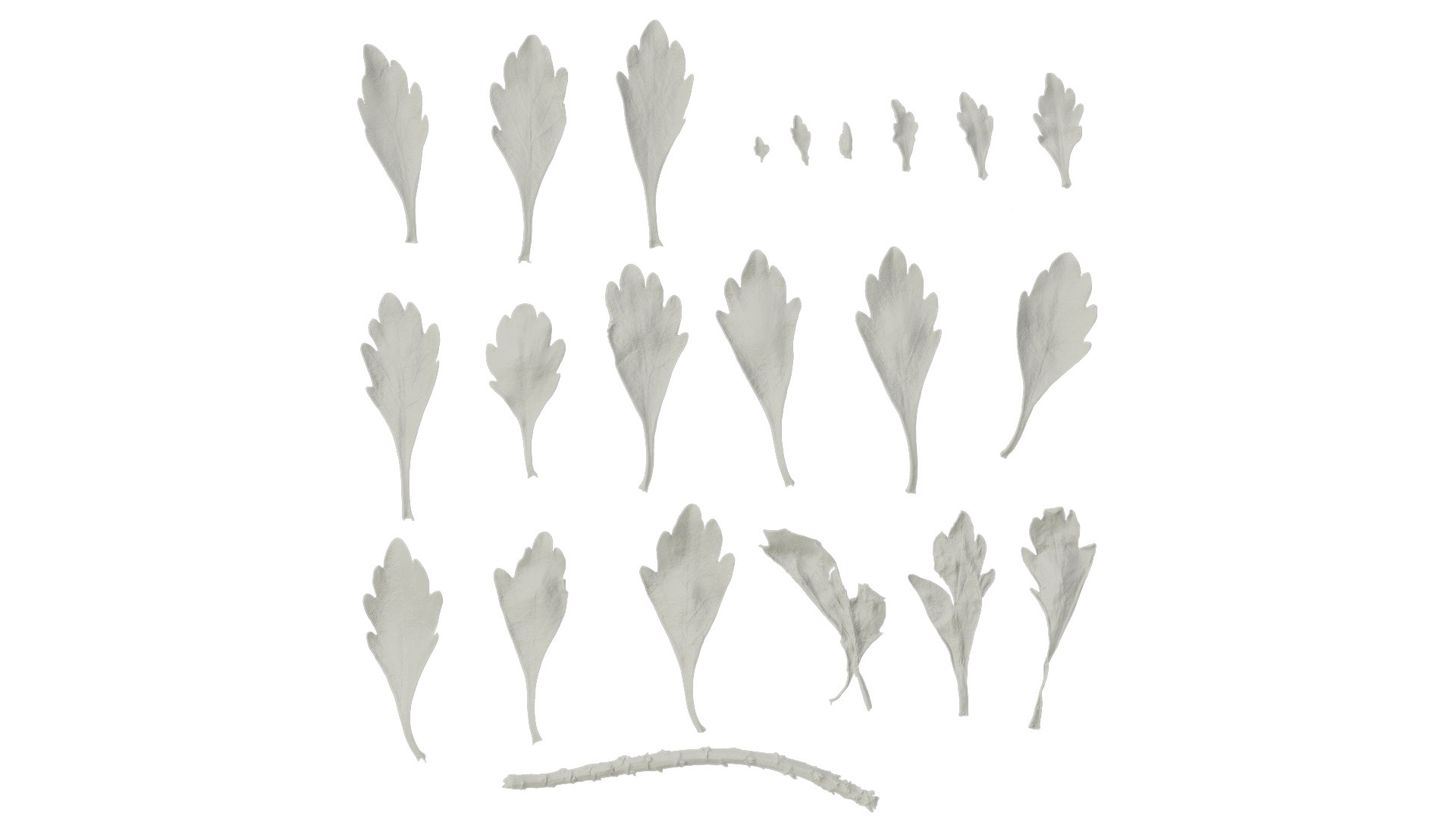 Anydrafts Ajania Pallasiana Leaf 02 Textures 3D - TurboSquid 2351951