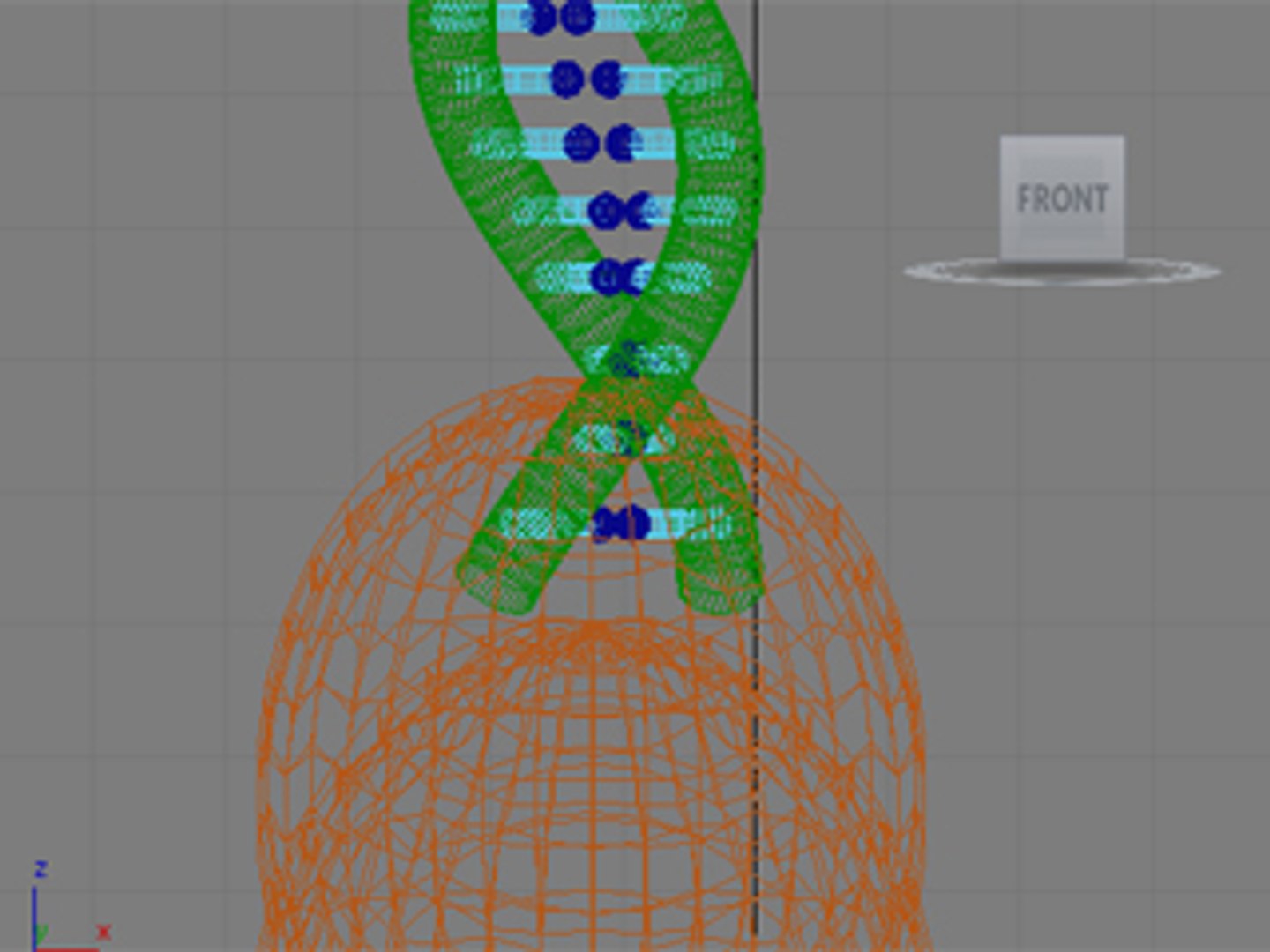 Set 5 Dna Included 3d Model