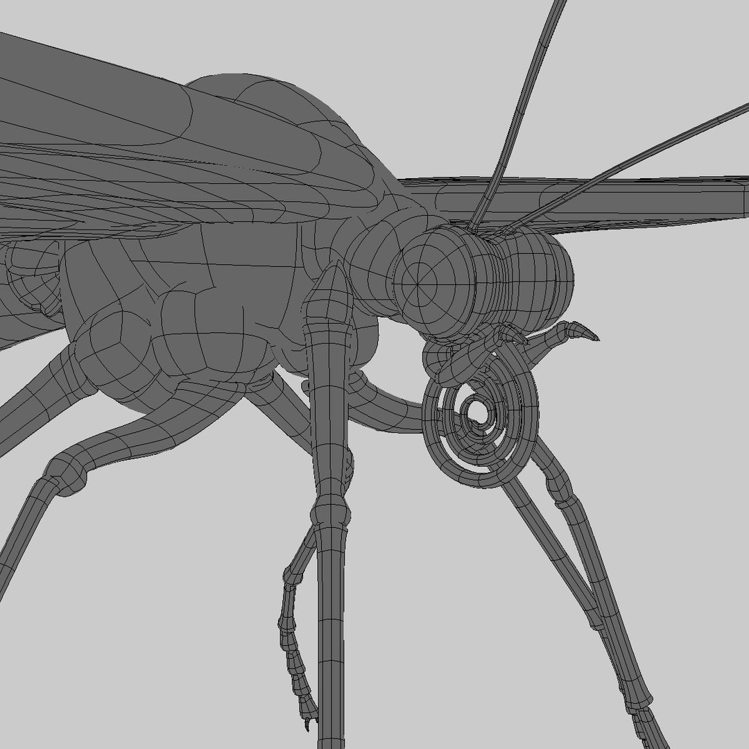 maya photorealistic monarch butterfly