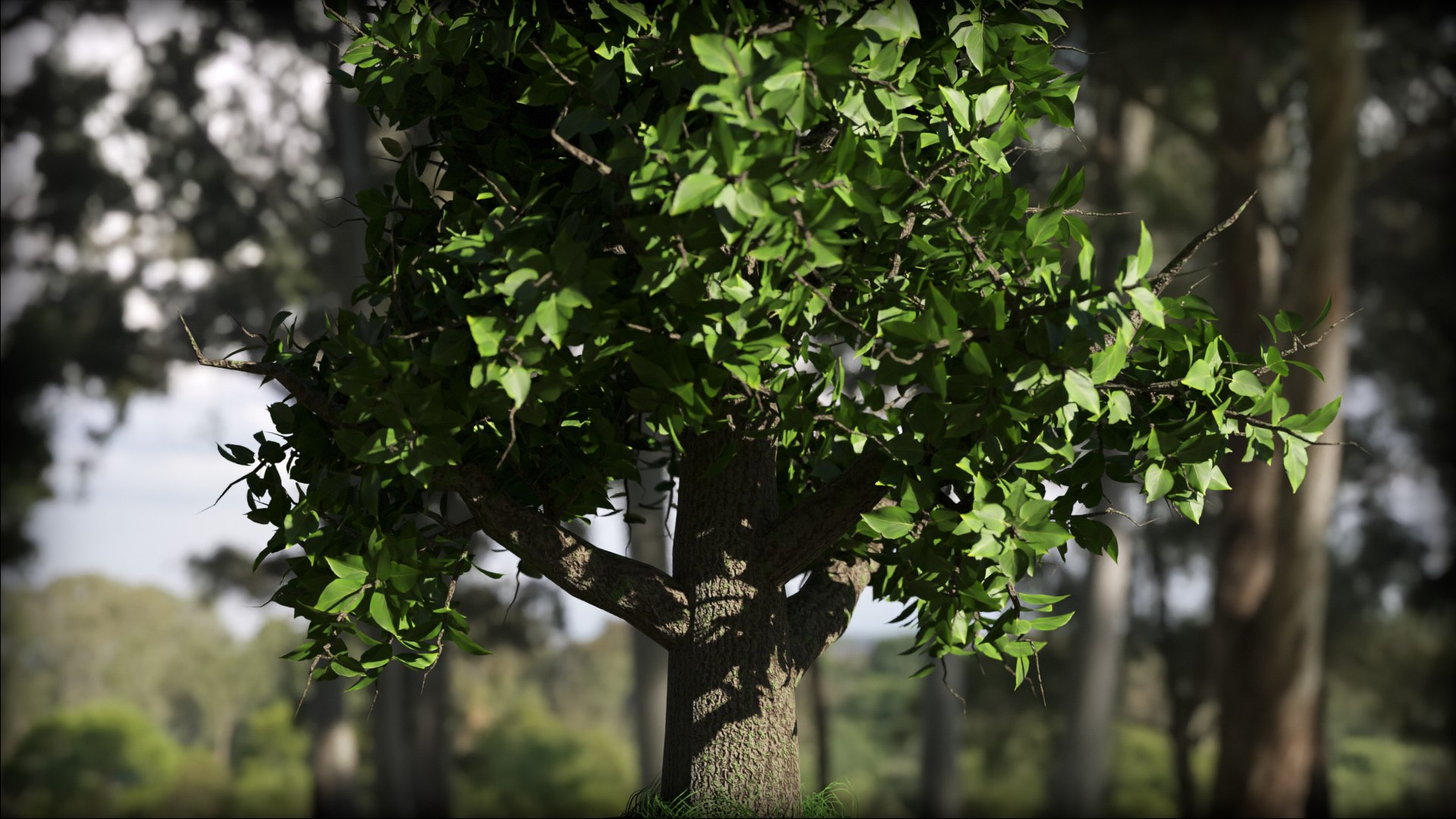 3D Growing Tree Animation - TurboSquid 1887414