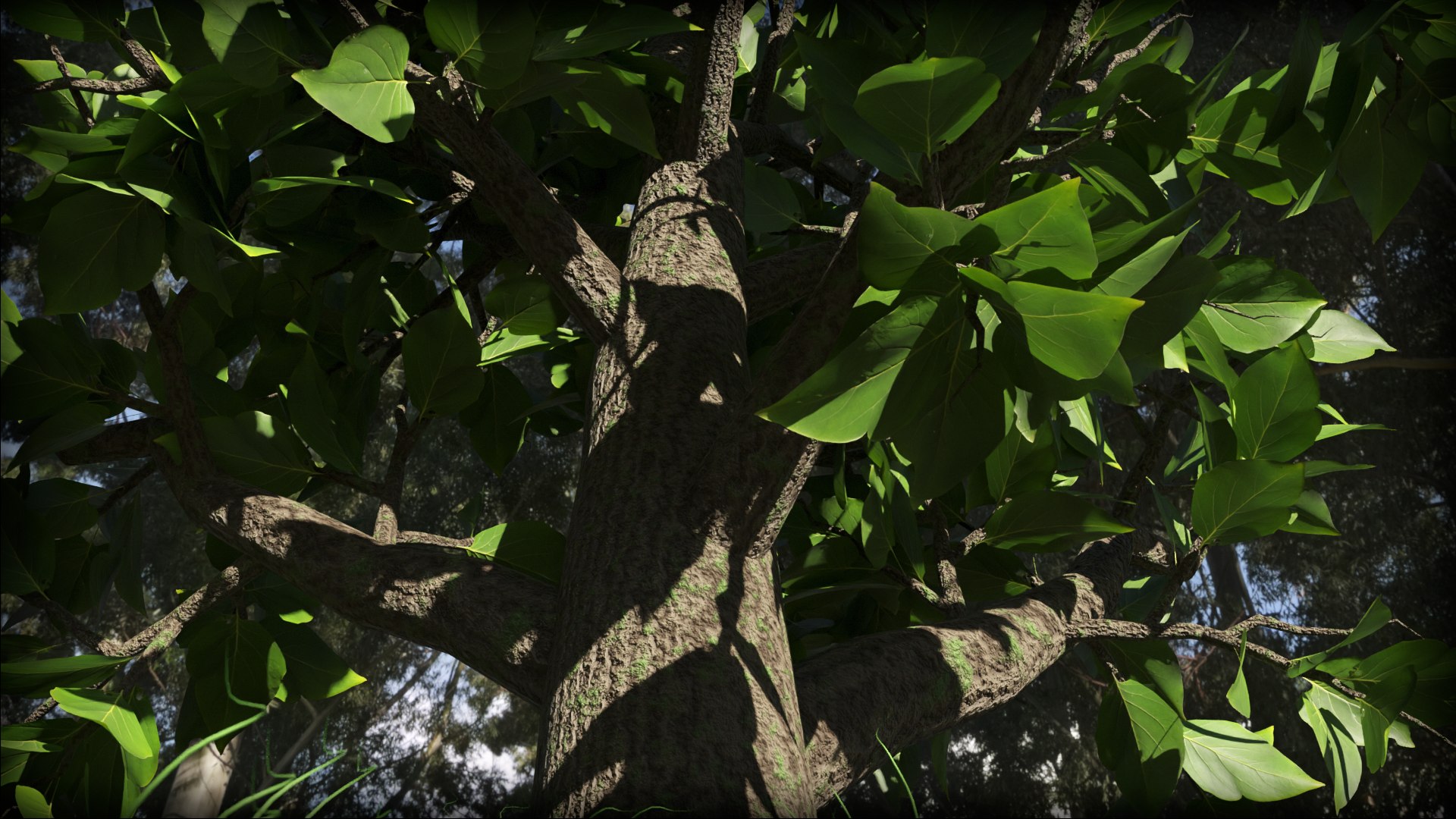 3D Growing Tree Animation - TurboSquid 1887414