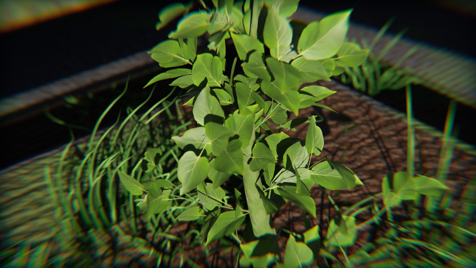 3D Growing Tree Animation - TurboSquid 1887414