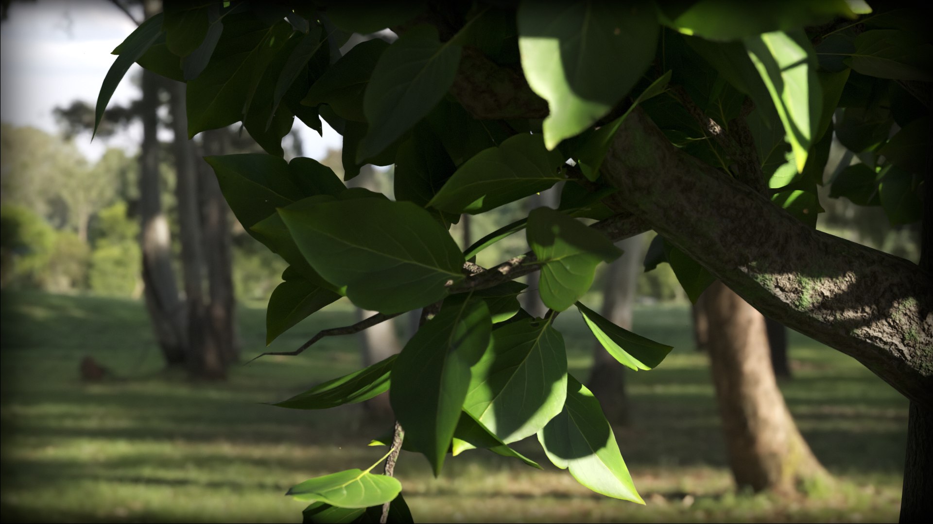 3D Growing Tree Animation - TurboSquid 1887414