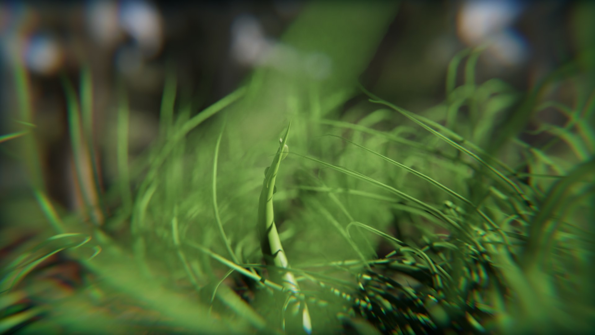 3D Growing Tree Animation - TurboSquid 1887414