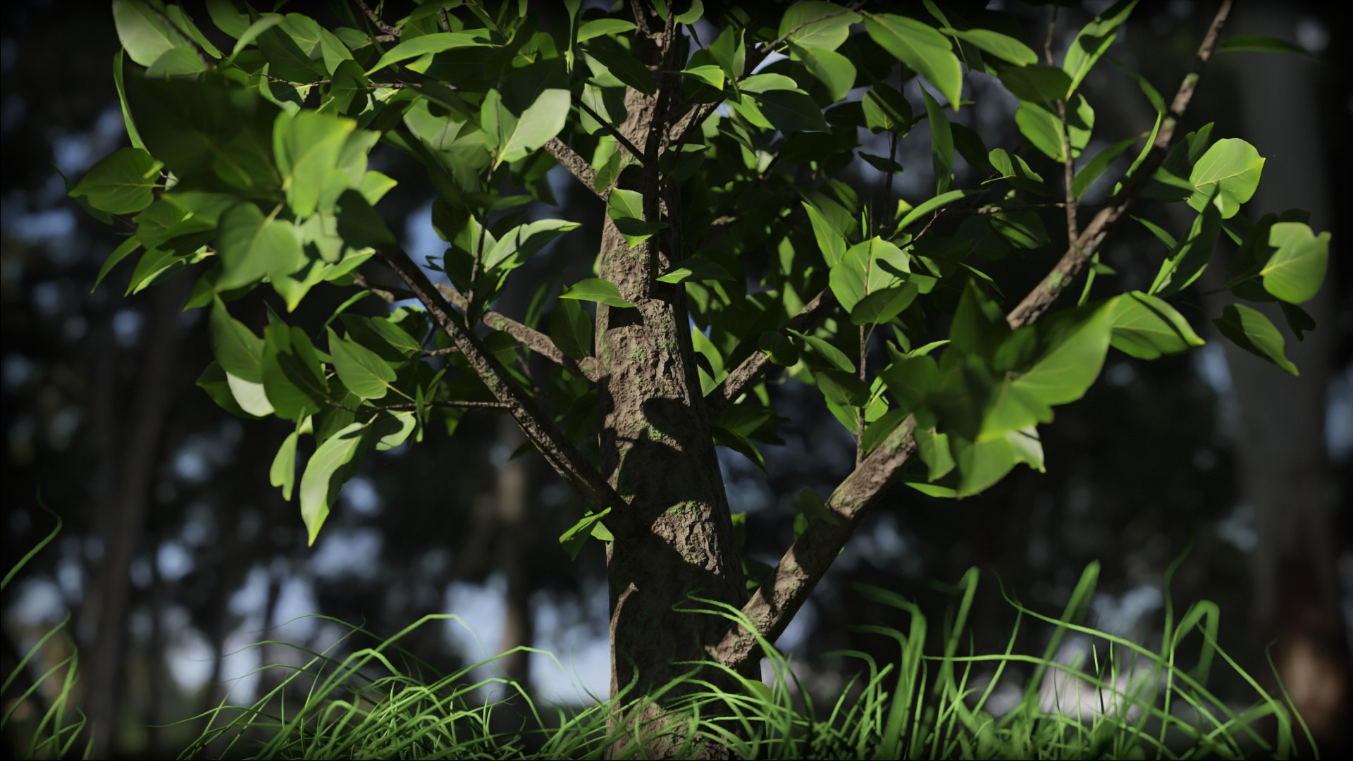 3D Growing Tree Animation - TurboSquid 1887414
